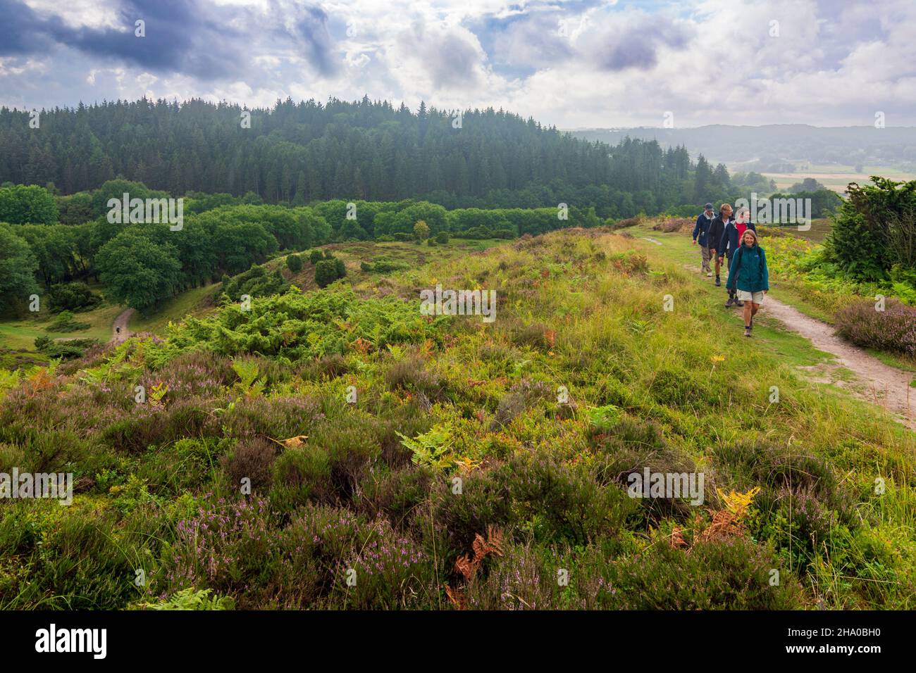 Nationalpark rebild bakker hi-res stock photography and images - Alamy