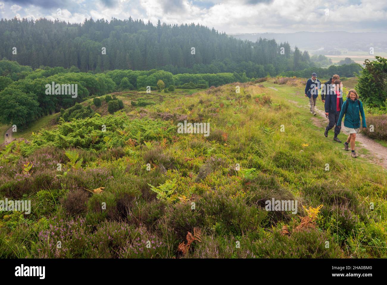 Nationalpark rebild bakker hi-res stock photography and images - Alamy