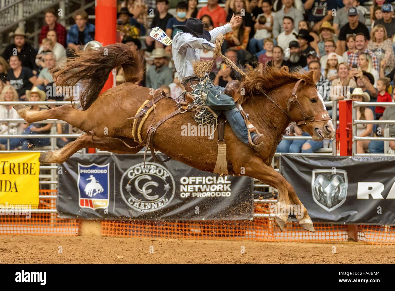 Saddle bronc riding hi-res stock photography and images - Alamy
