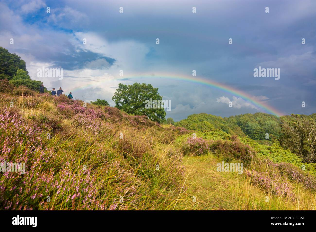 Rebild: Rebild National Park, heath, rainbow, in Rebild Bakker, Jylland ...