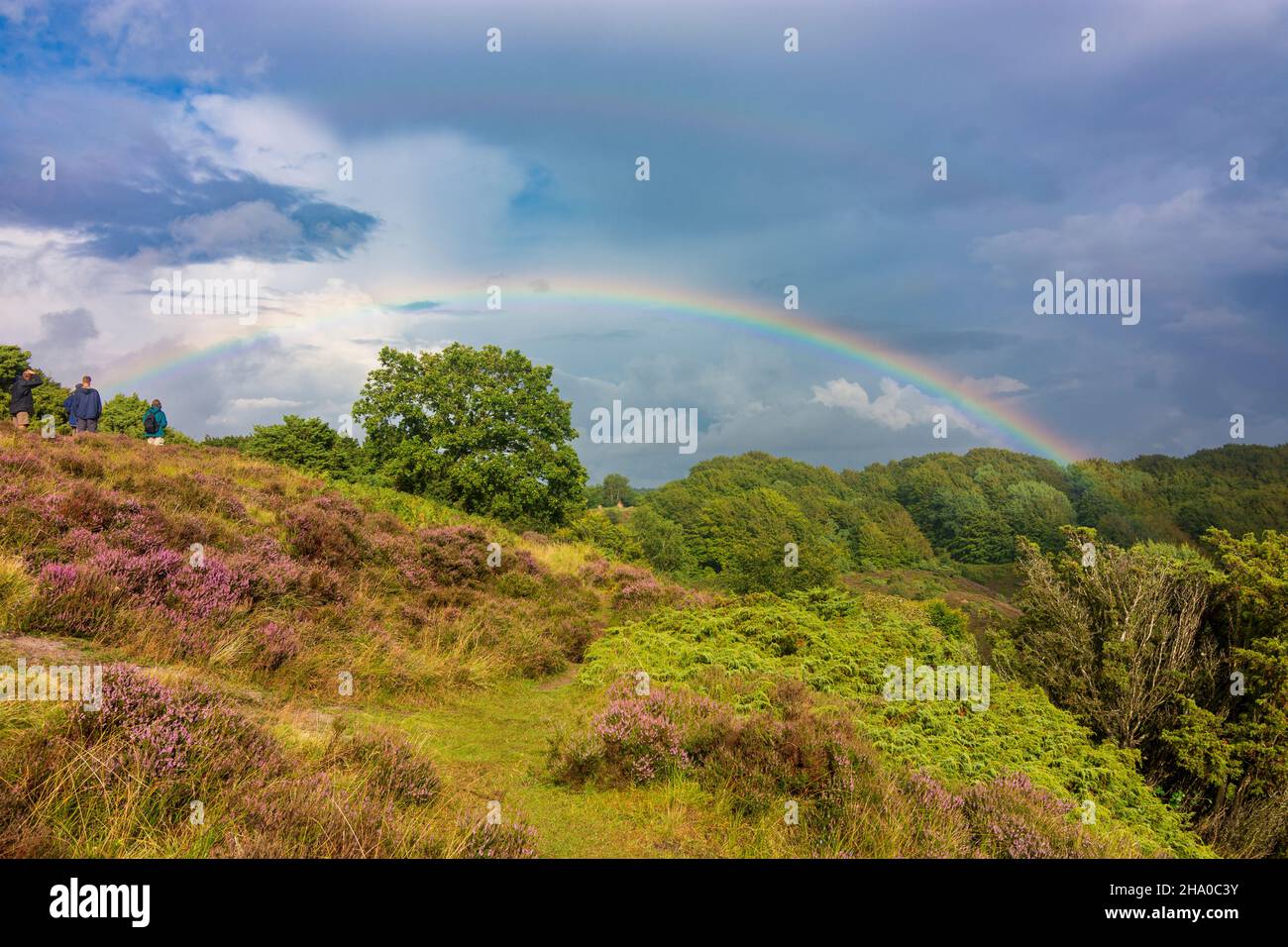 Rebild: Rebild National Park, heath, rainbow, in Rebild Bakker, Jylland ...
