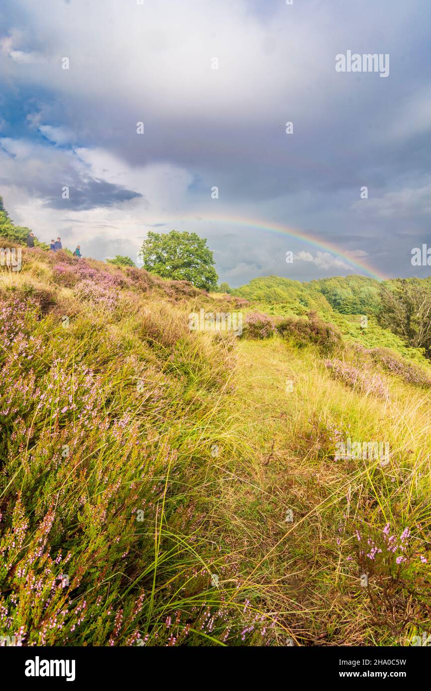 Bakker rebild nationalpark hi-res stock photography and images - Alamy