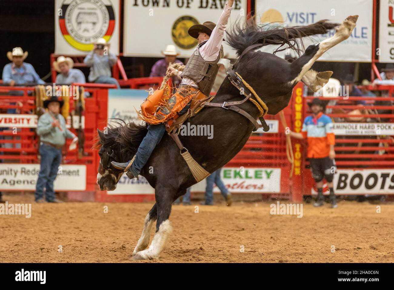 Saddle Bronc Riding seen on Southeastern Circuit Finals Rodeo during ...