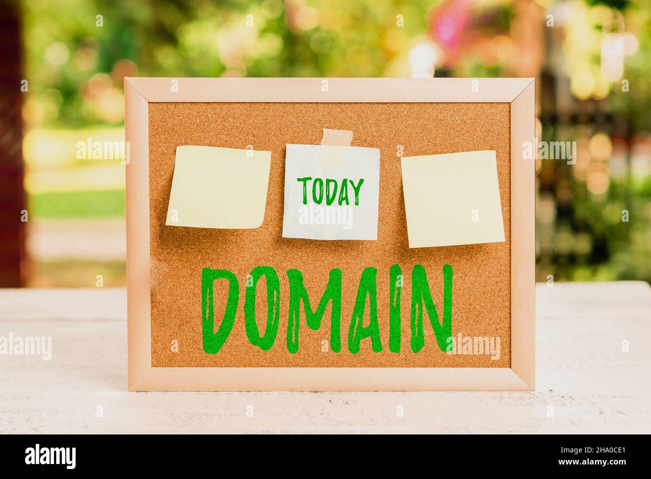 Conceptual display Domain. Concept meaning an area of territory ...