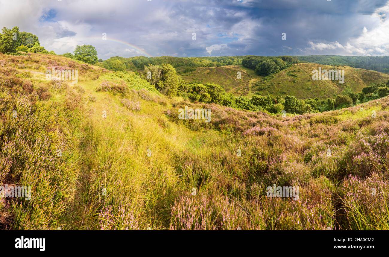 Nationalpark rebild bakker hi-res stock photography and images - Alamy