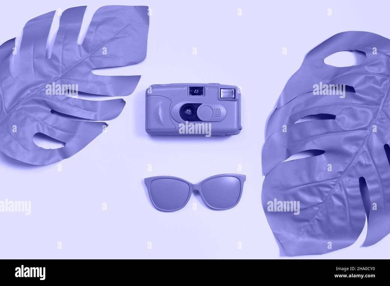 Two painted violet tropical palm leaf of monstera Fashion Film Camera ...