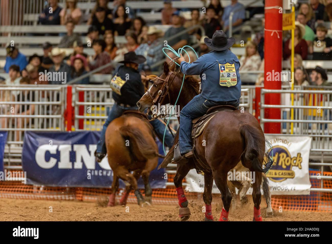 Team roping hi-res stock photography and images - Alamy