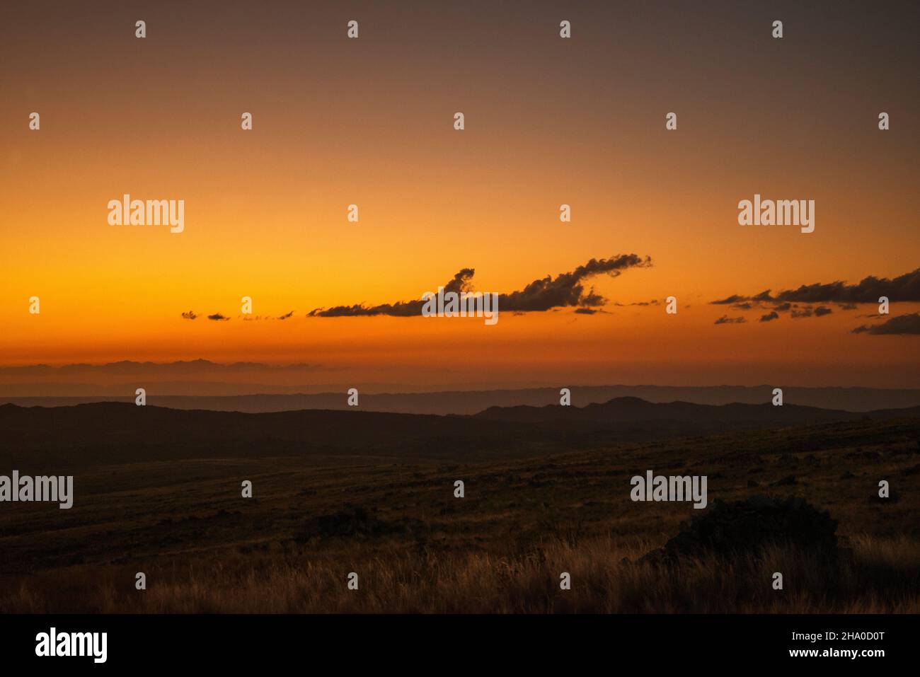 orange sunset in the field, clouds, hills and grasslands Stock Photo ...