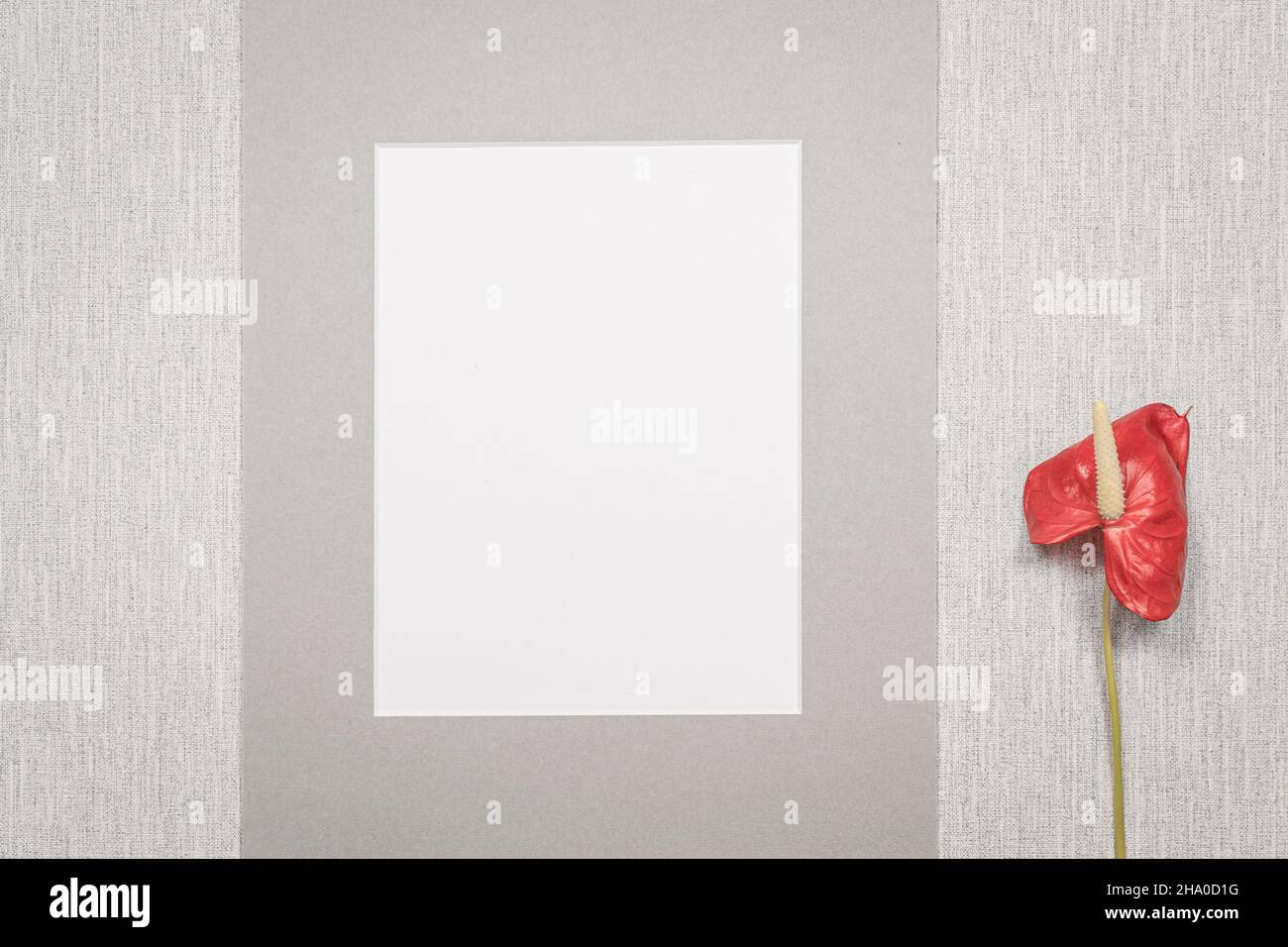 Photo frame with empty space. To write a message, invitation, wishes ...