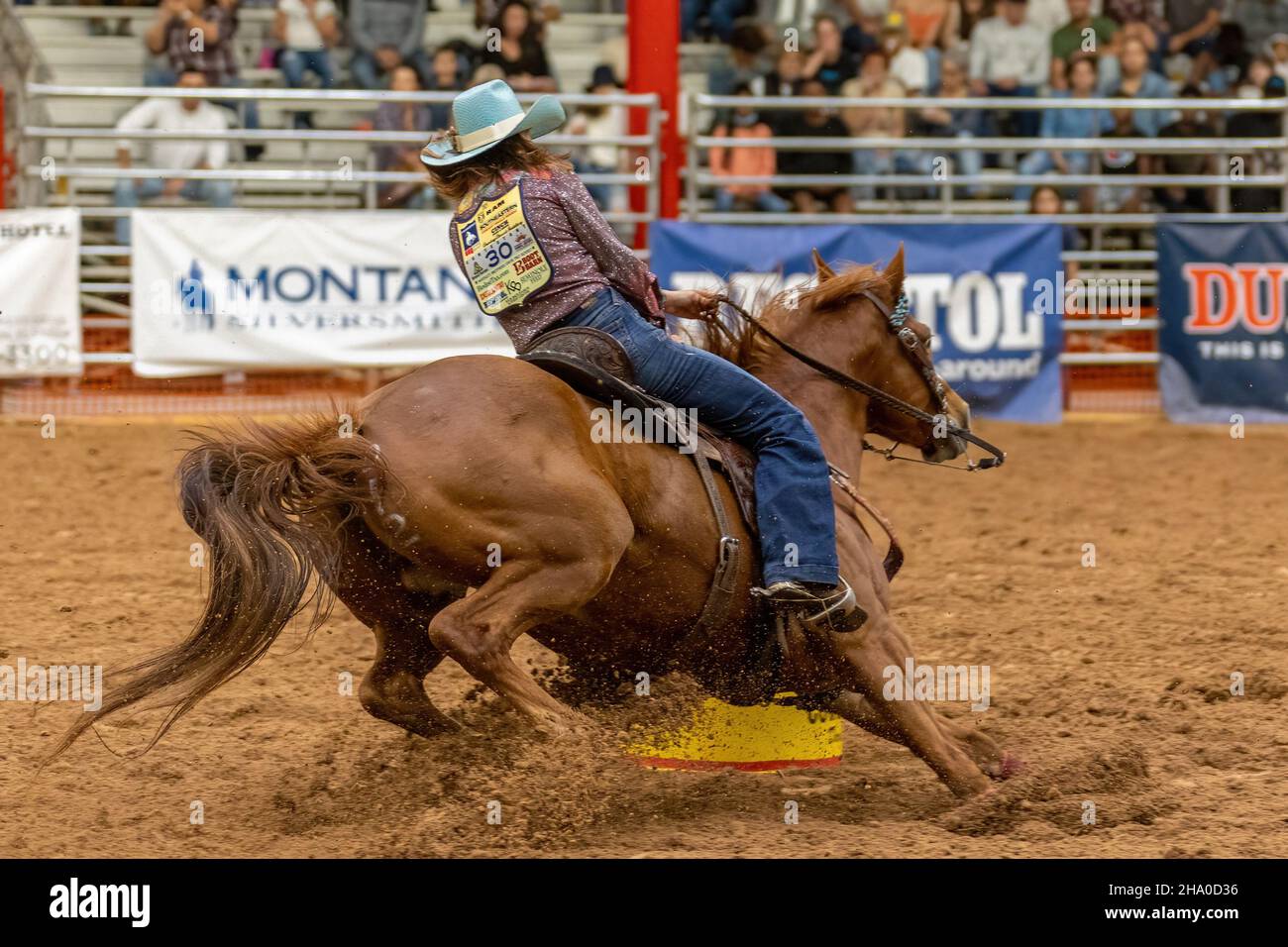 Barrel cowboy hi-res stock photography and images - Alamy