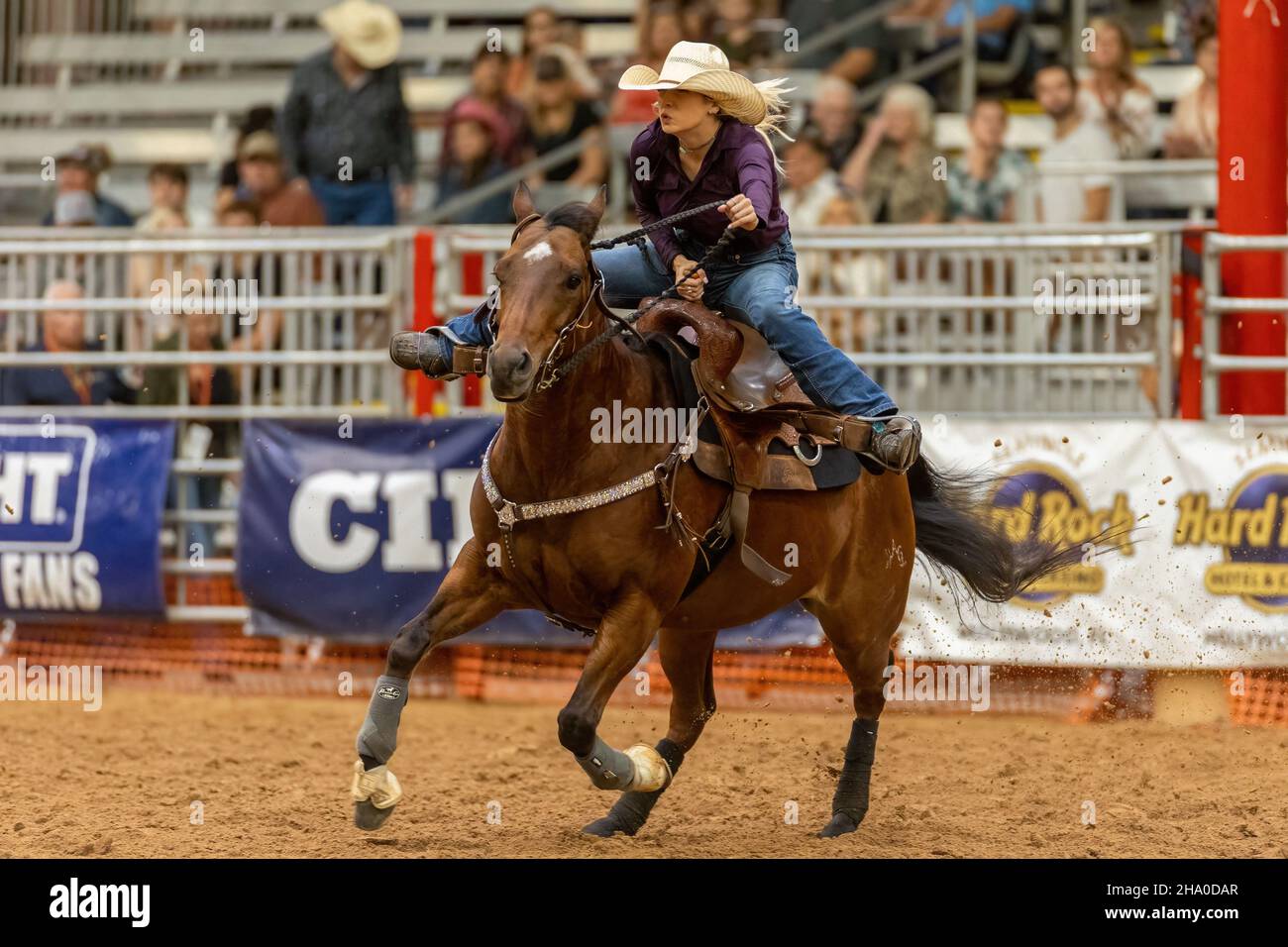 Barrel Racing seen on Southeastern Circuit Finals Rodeo during the ...