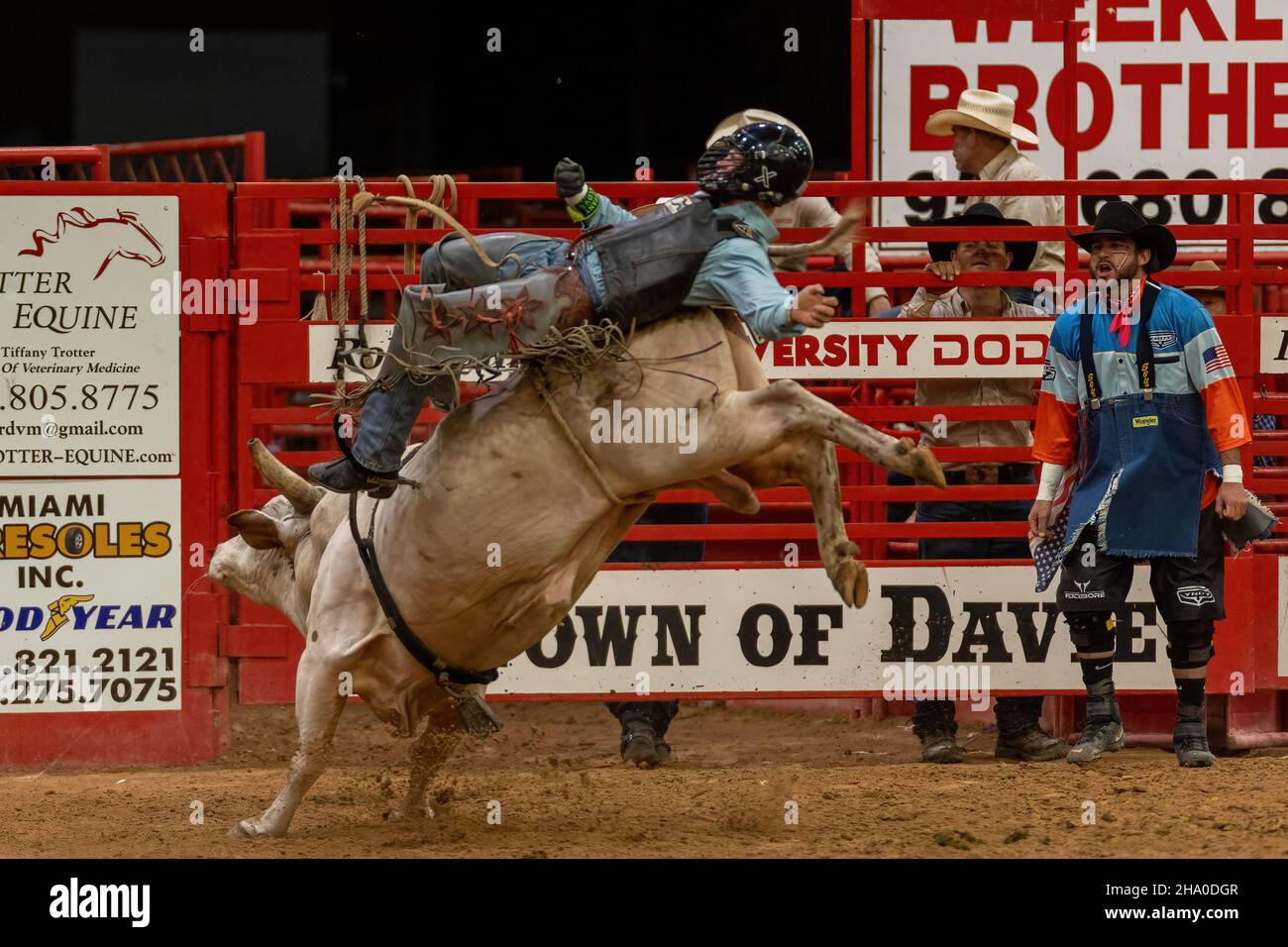 Bull Riding seen on Southeastern Circuit Finals Rodeo during the event ...