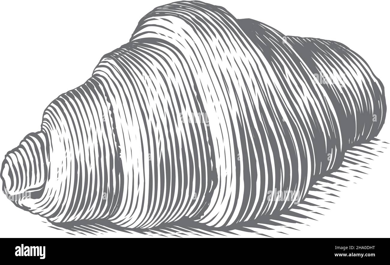 croissant hand drawn drawing engraving retro style Stock Vector Image ...