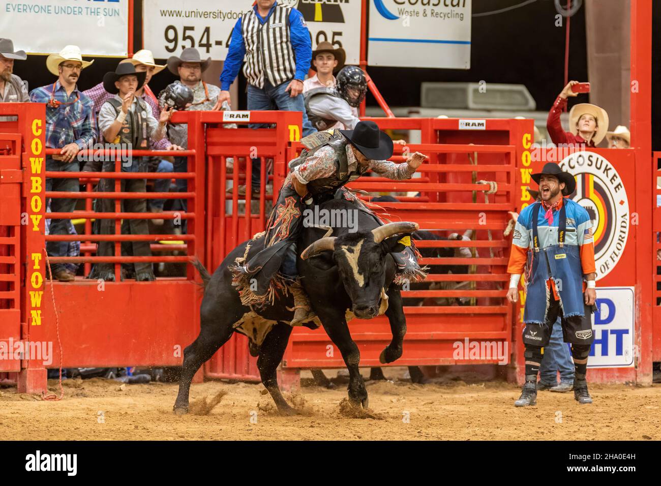 Davie rodeo hi-res stock photography and images - Alamy