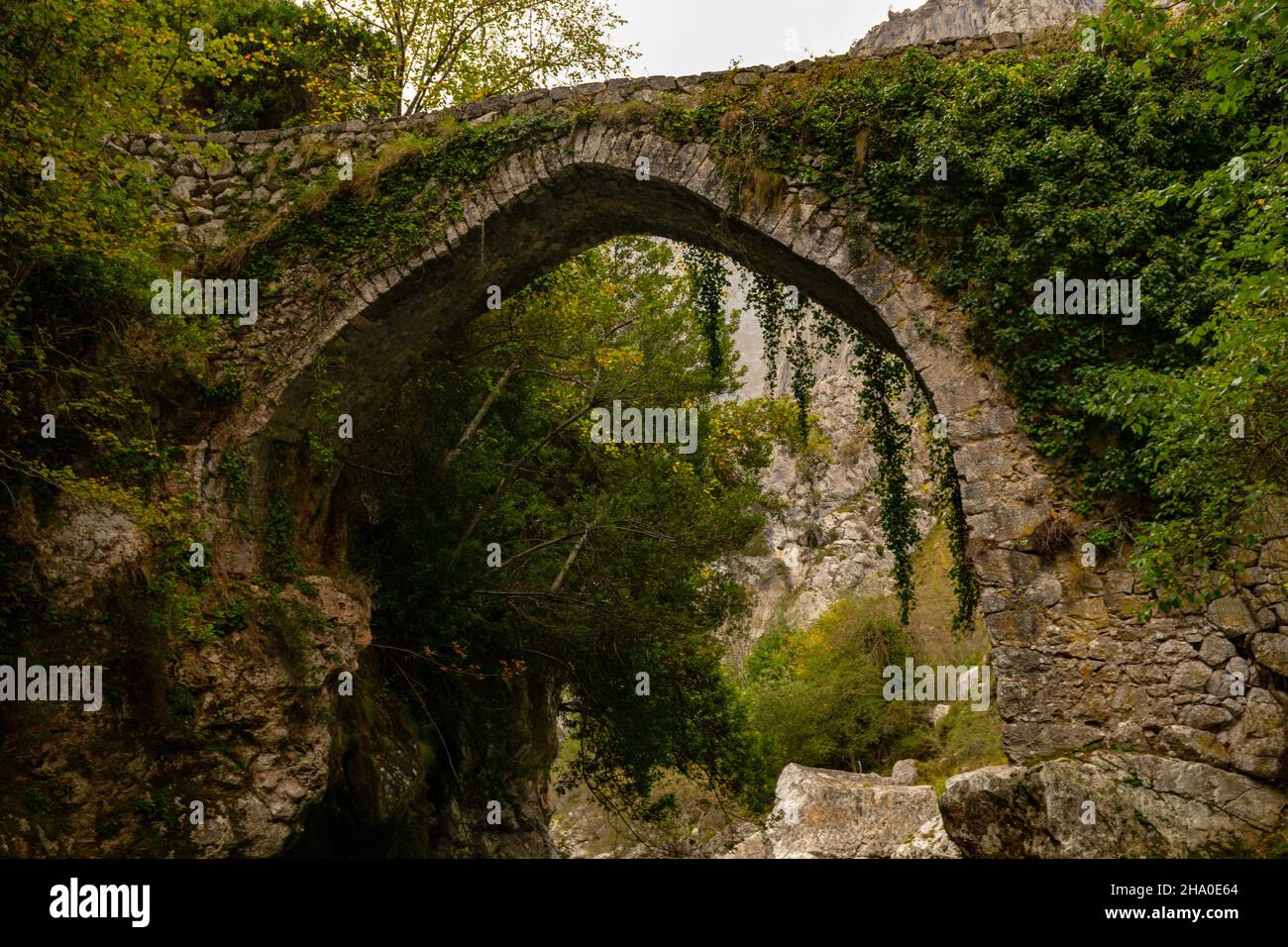 Medieval bridge of La Jaya in Asturias, Spain Stock Photo - Alamy