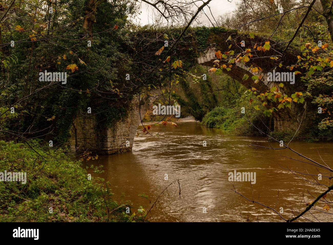 Roman bridge of Branez in Asturias Stock Photo - Alamy