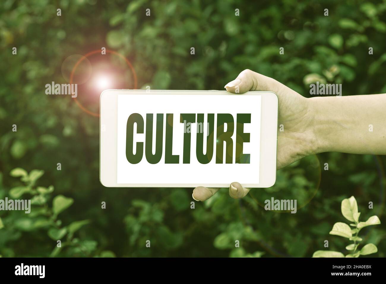 Text sign showing Culture. Concept meaning characteristics and ...