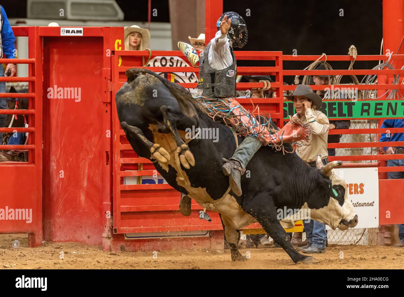 Bull Riding seen on Southeastern Circuit Finals Rodeo during the event ...