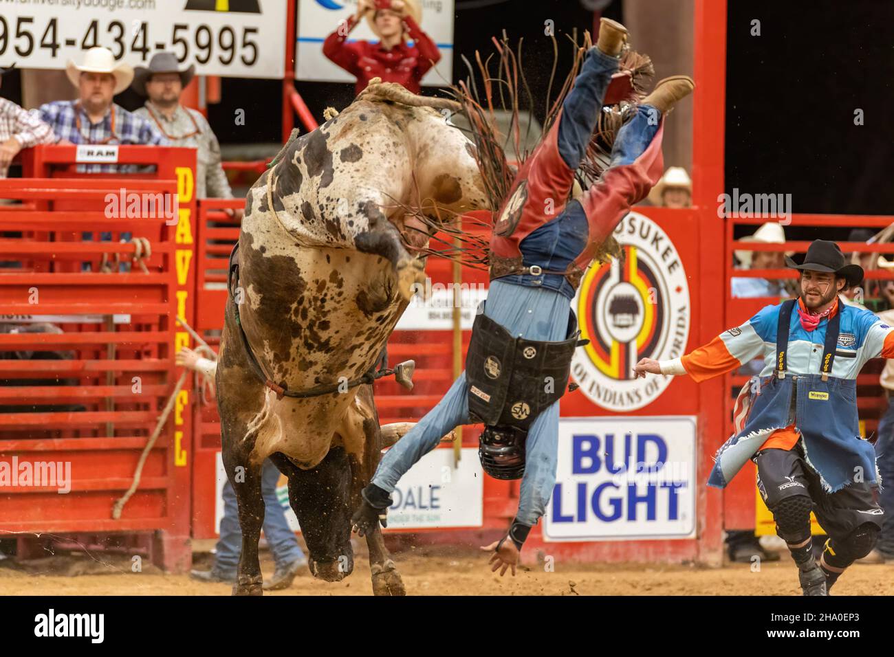 Bull Riding seen on Southeastern Circuit Finals Rodeo during the event ...