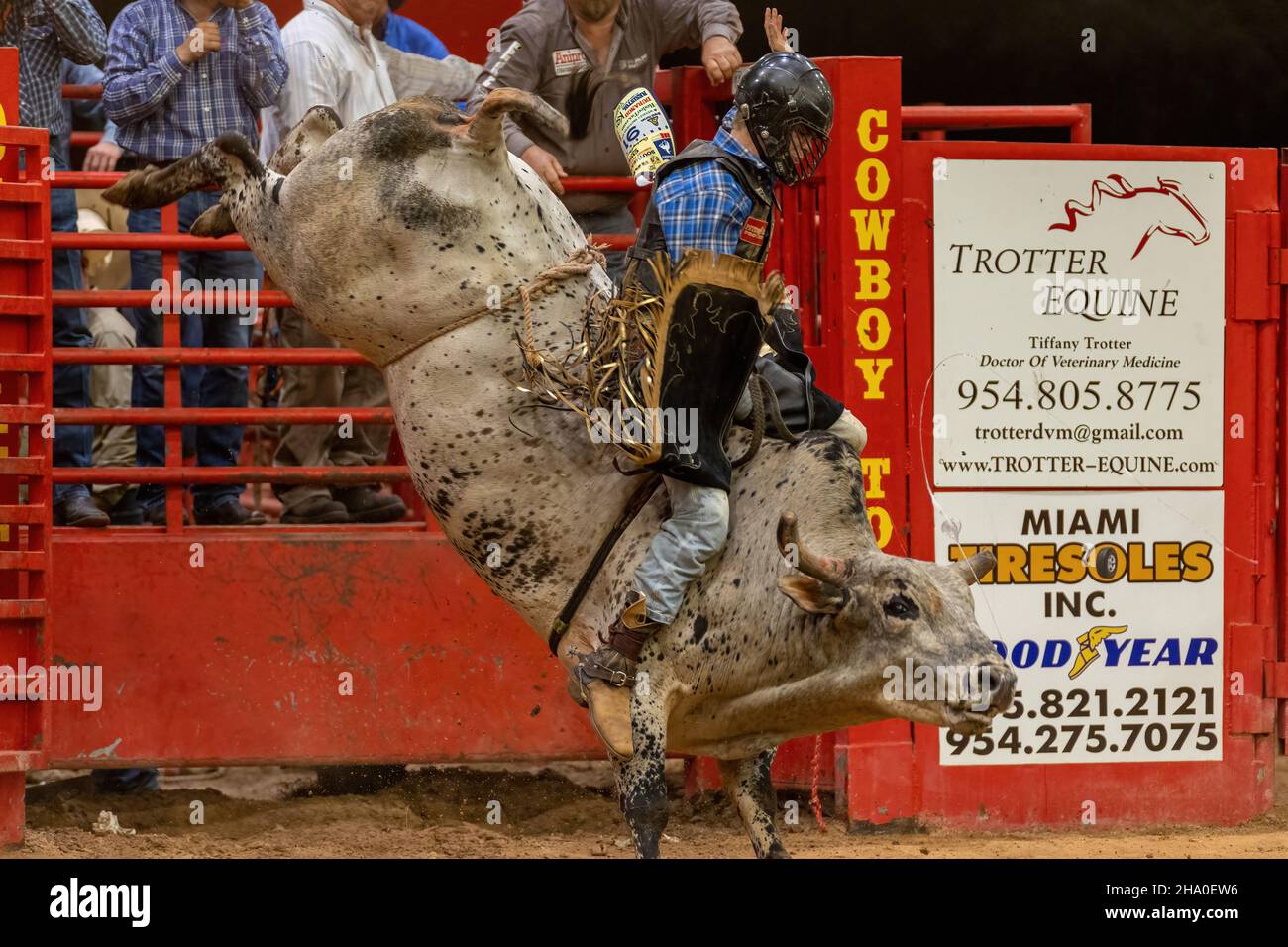 Bull Riding seen on Southeastern Circuit Finals Rodeo during the event ...