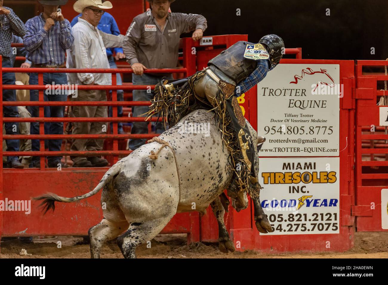 Bull Riding seen on Southeastern Circuit Finals Rodeo during the event ...