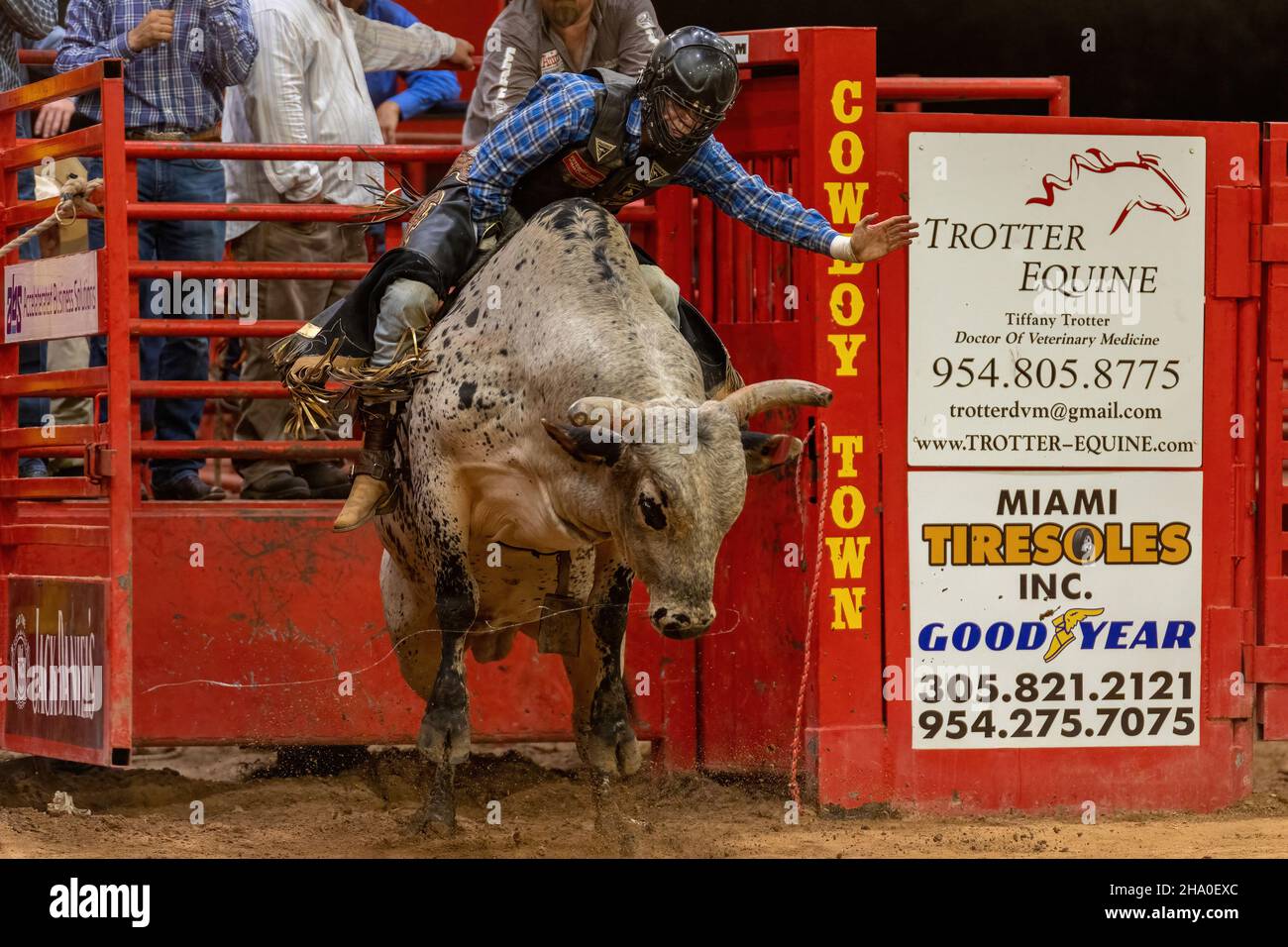 Bull Riding seen on Southeastern Circuit Finals Rodeo during the event ...