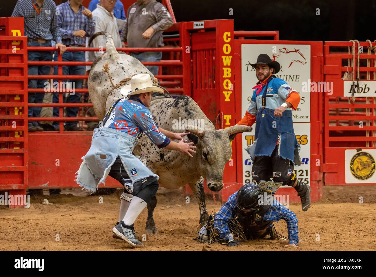 Bull Riding seen on Southeastern Circuit Finals Rodeo during the event ...