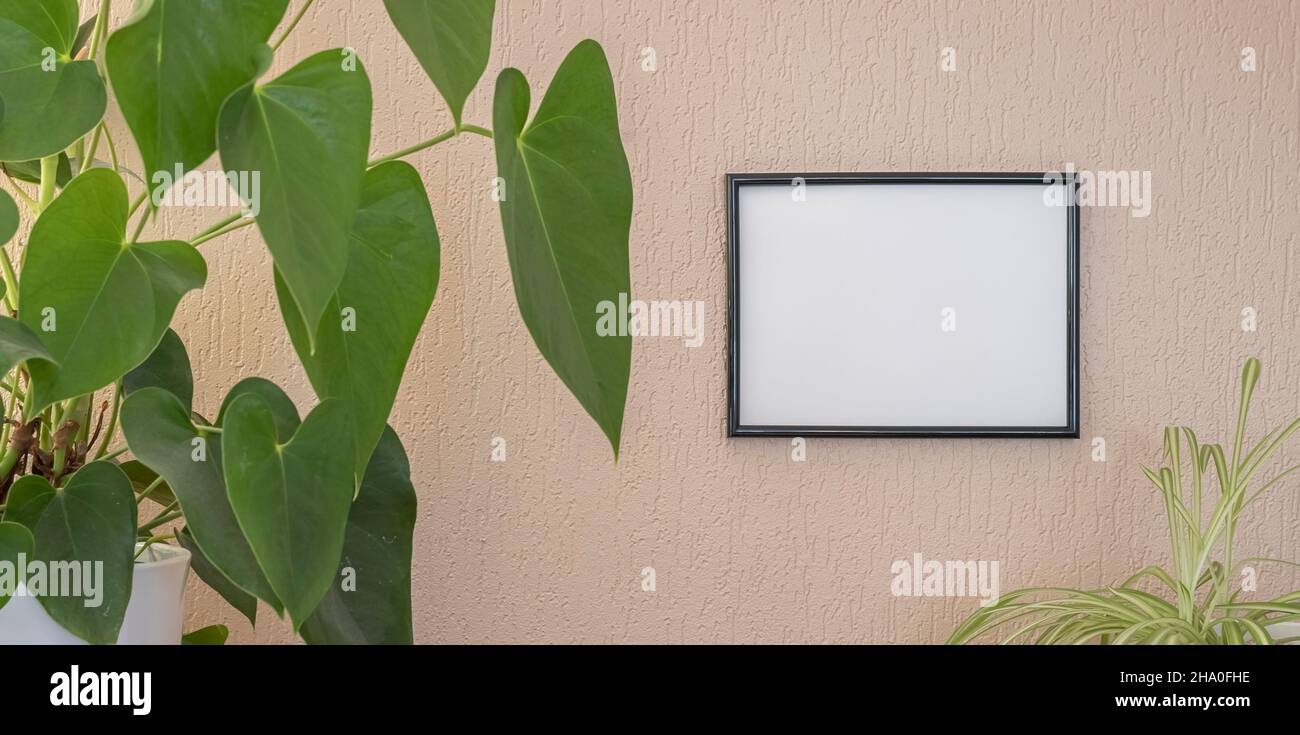 Photo frame with empty space. To write a message, invitation, wishes ...