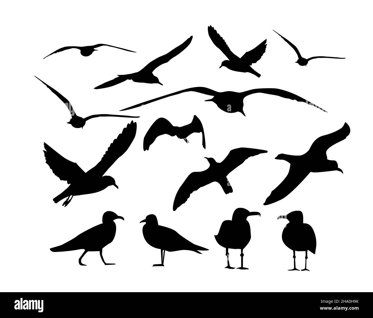 Set of sea gulls. Vector illustration Stock Vector Image & Art - Alamy
