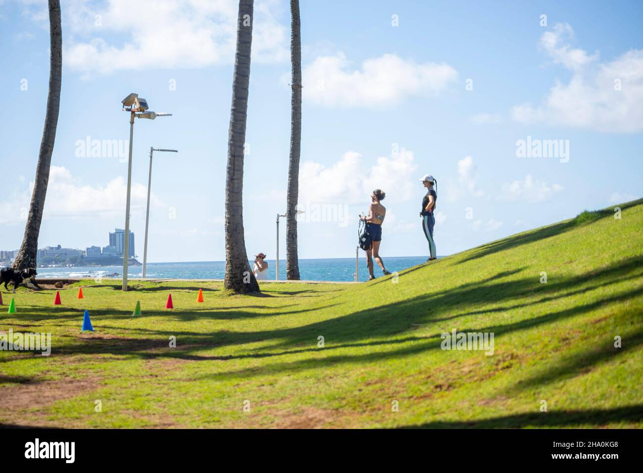 Back view woman tropical beach hi-res stock photography and images - Alamy