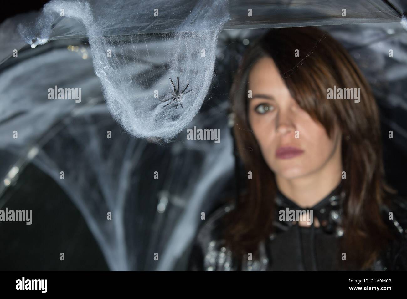 Spider fear person hi-res stock photography and images - Alamy