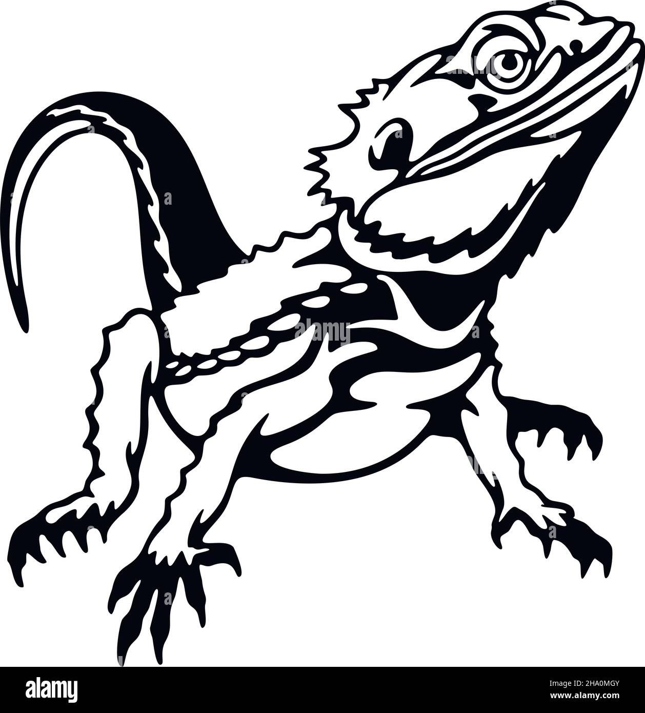 Newt vector vectors hi-res stock photography and images - Alamy