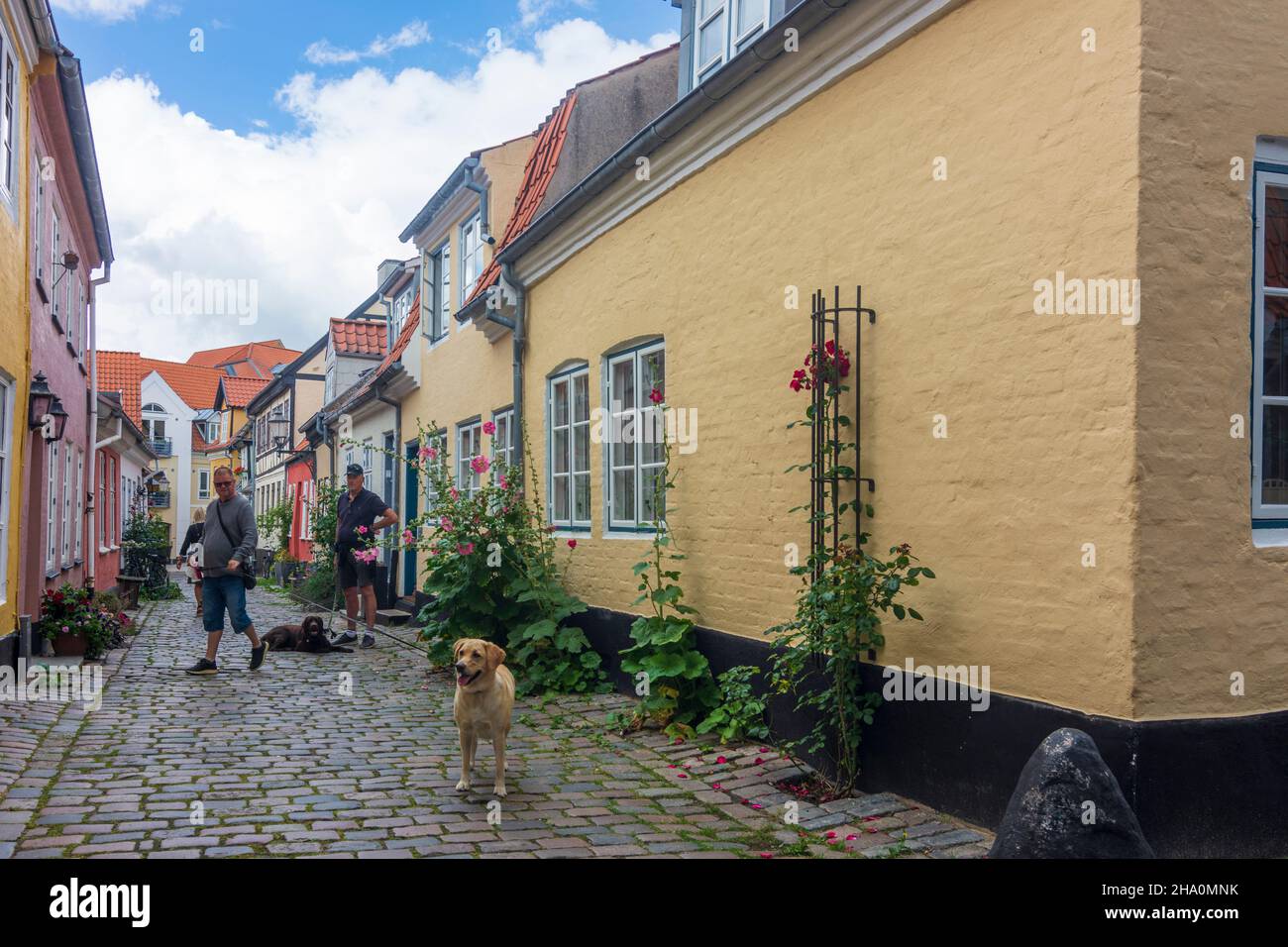 Aalborg denmark hjelmerstald hi-res stock photography and images - Alamy