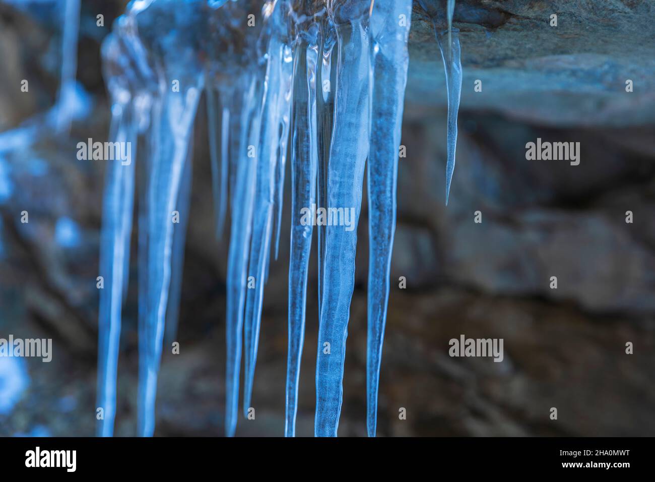 Icicles hanging on the rocks in the gorge Stock Photo - Alamy
