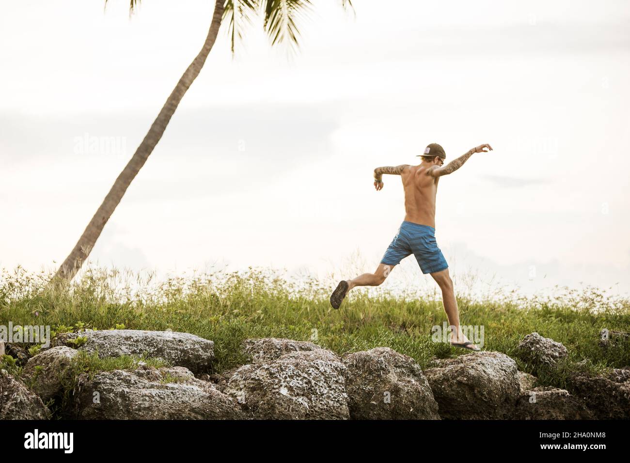 A young man without shirt jumps on rocks at near palm tree at water ...
