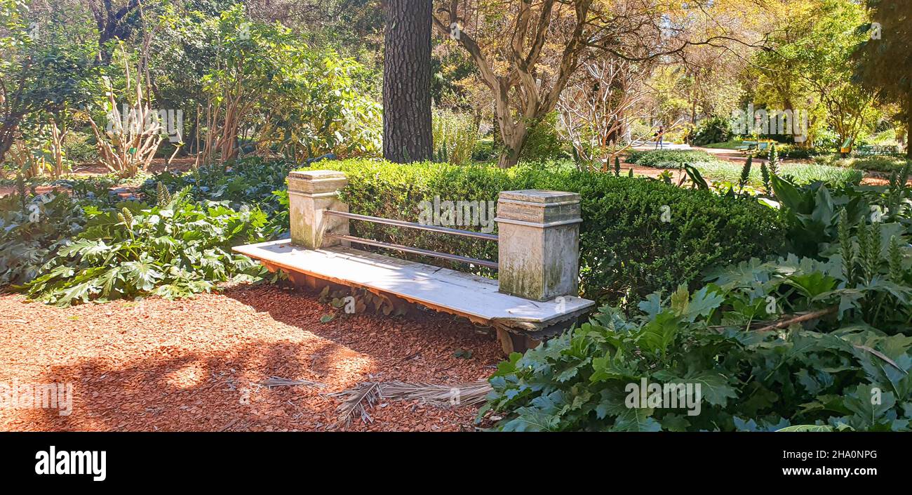 Beautiful shot of a wooden bench in a park on a sunny day Stock Photo ...