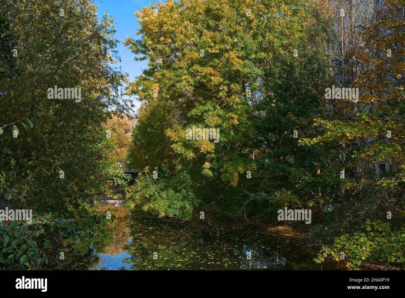 Fluss zwischen herbstlichen Bäumen - River between autumn trees Stock ...