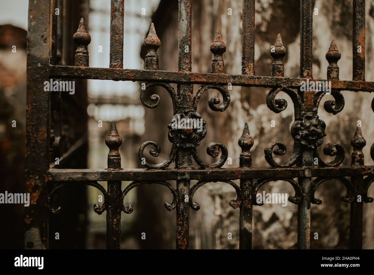 Up close, aged iron work around a tomb in New Orleans Stock Photo - Alamy