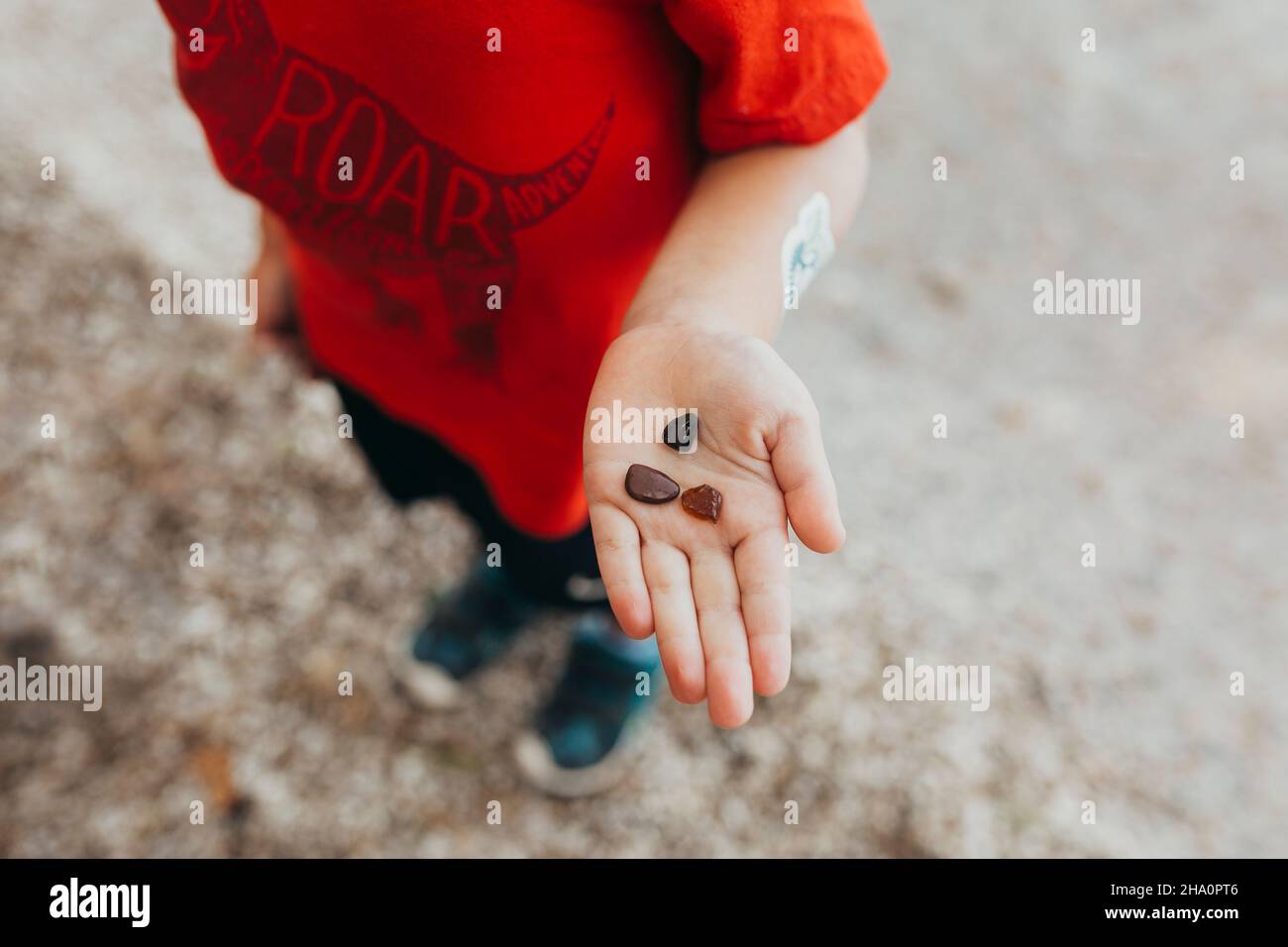Boy holding small rocks in palm on beach Stock Photo - Alamy