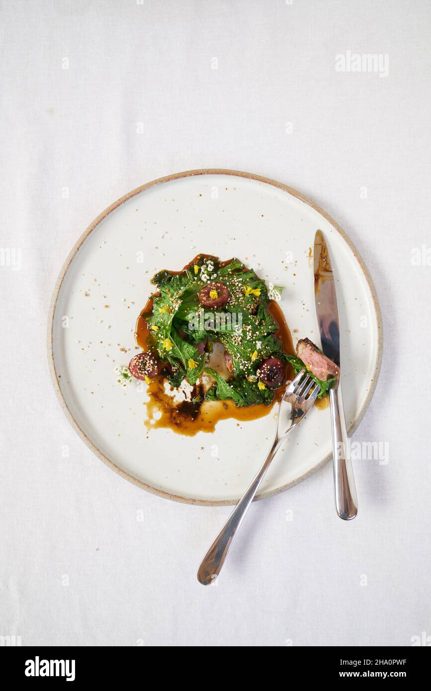 Duck entree with kale and edible flowers plated and shot overhead Stock ...