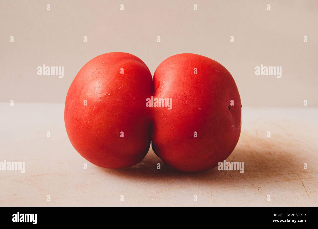 Tomato flowers bees hi-res stock photography and images - Alamy