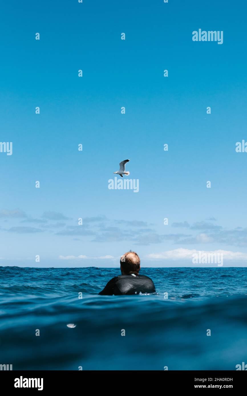 A young person in the sea while a seagull flies Stock Photo - Alamy