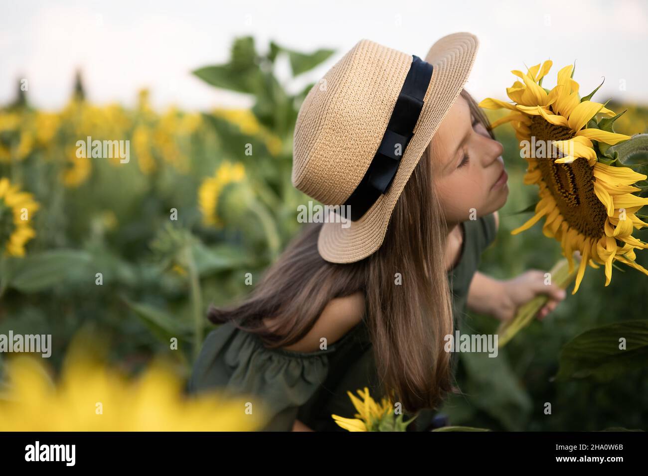 Little girl blogger in the sunflowers. In a hat and a beautiful dress ...