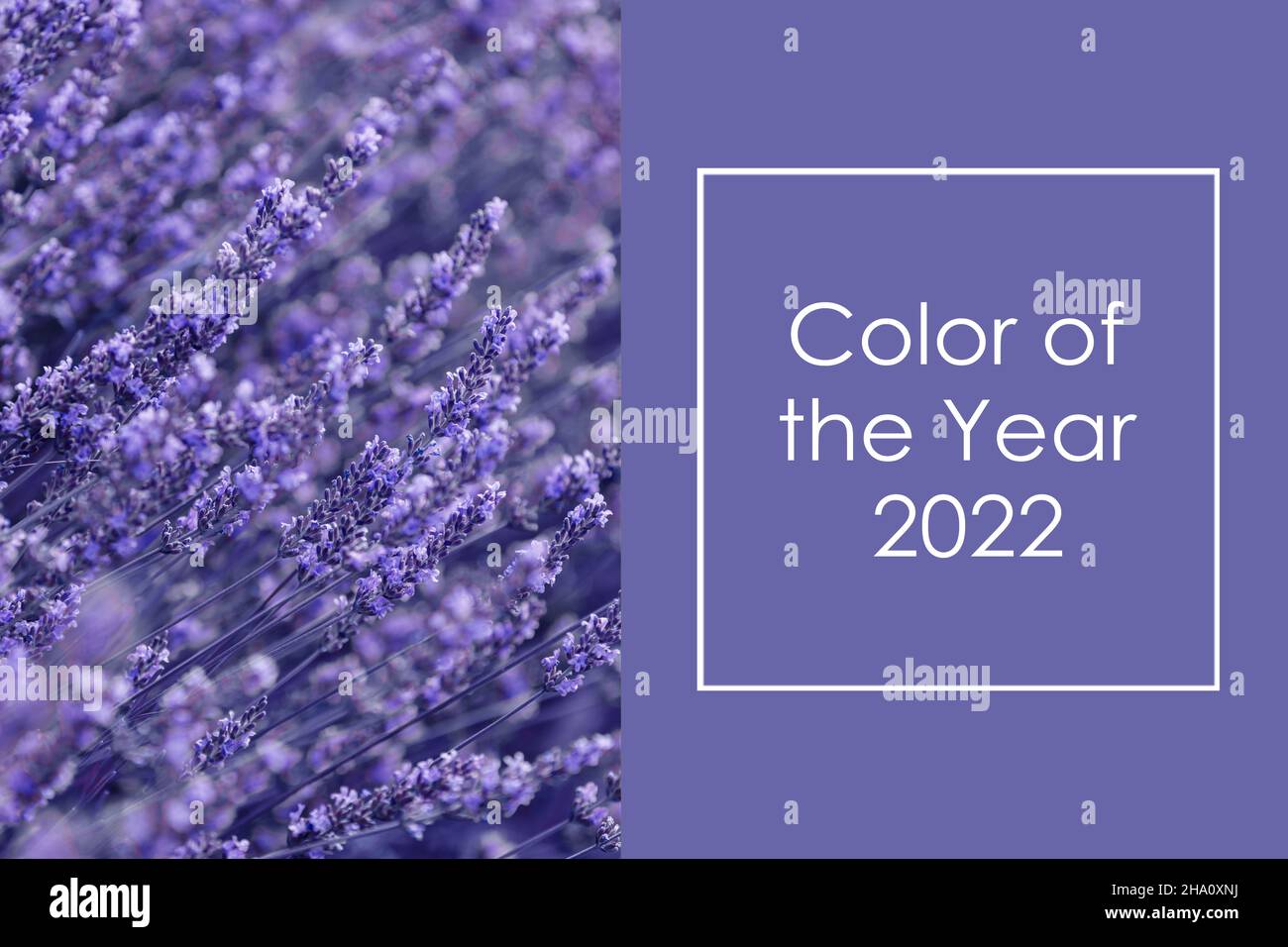 Color of the Year 2022 Very Peri. Creative design for trendy color ...