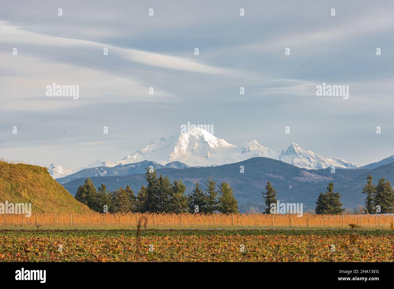 Mount Baker in Washington State seen from the Fraser Valley in British ...