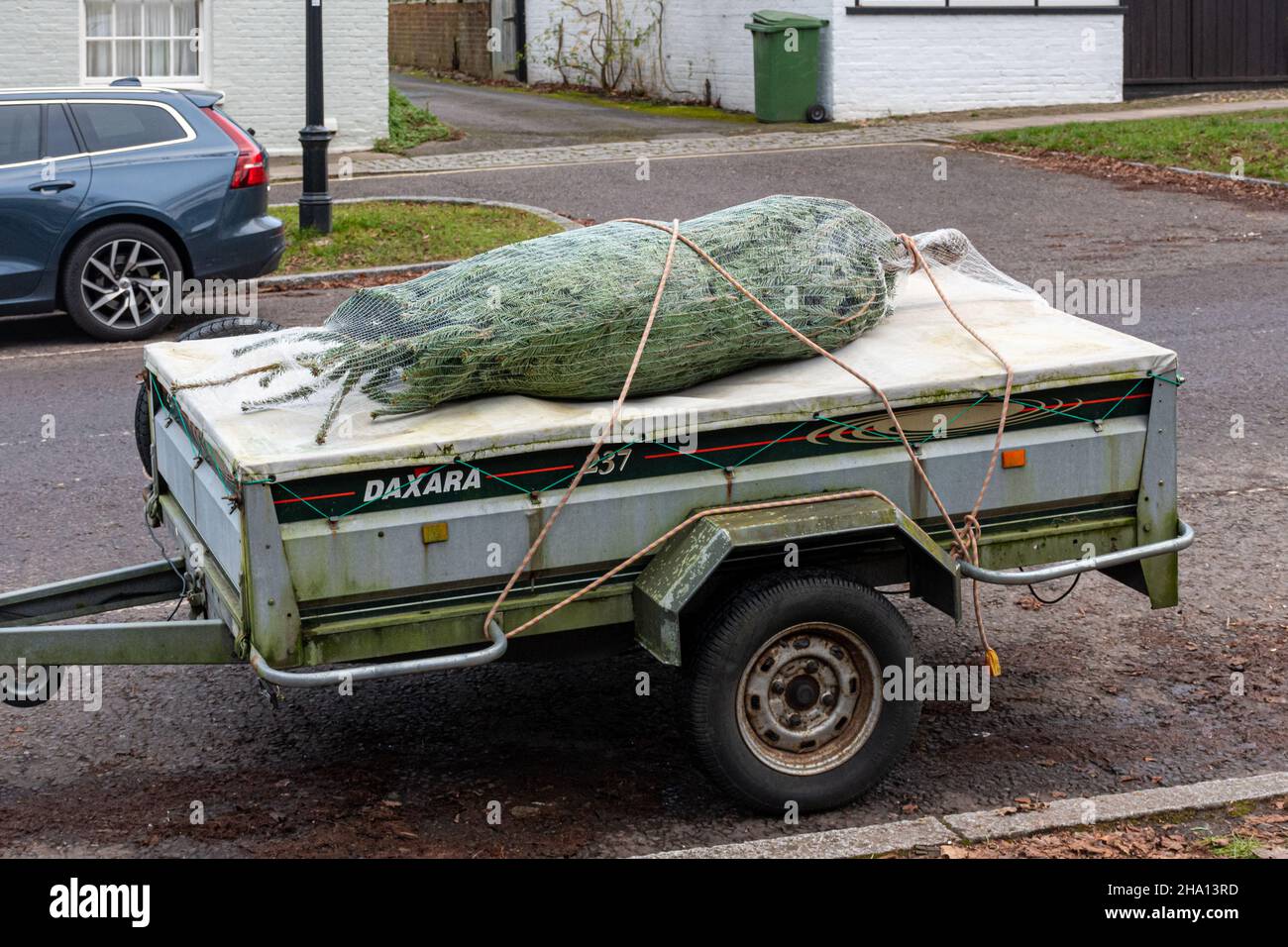 Transporting a christmas tree hi-res stock photography and images - Alamy