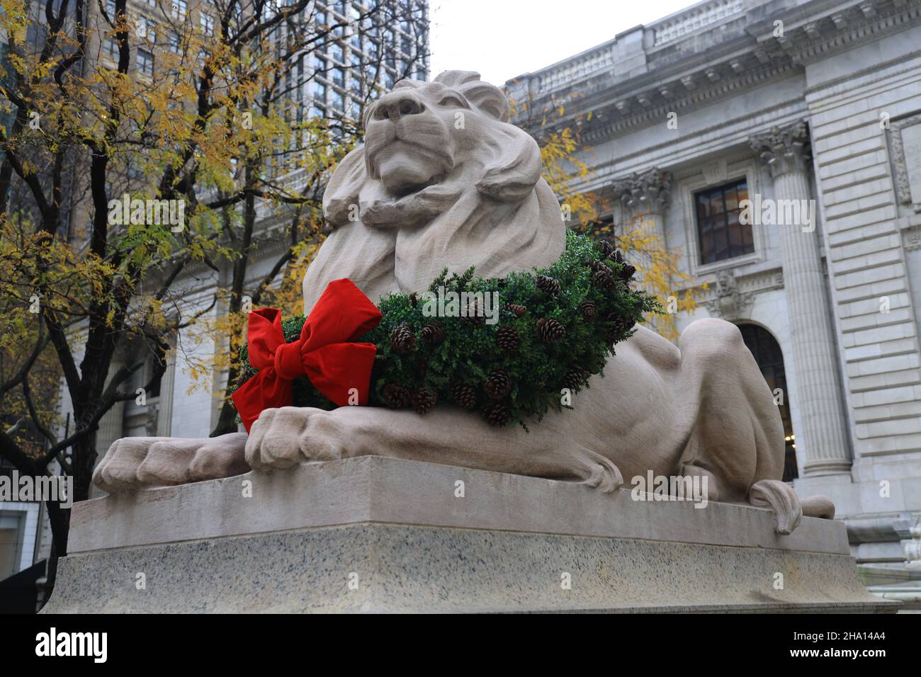 The statue of Patience the lion wears a Christmas wreath around its ...