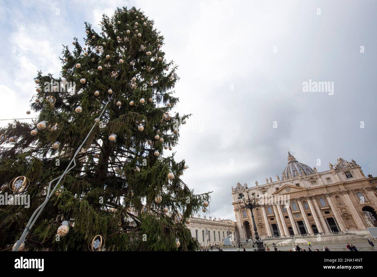 Vatican, Vatican. 09th Dec, 2021. The Christmas tree in St. Peter's ...