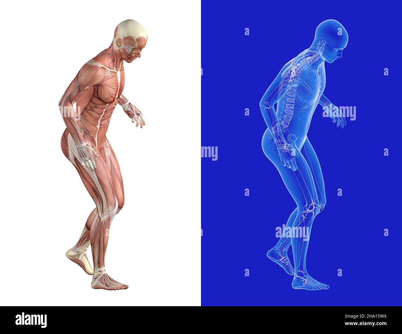 3d illustration of pain when walking and supporting the foot. Two twin ...