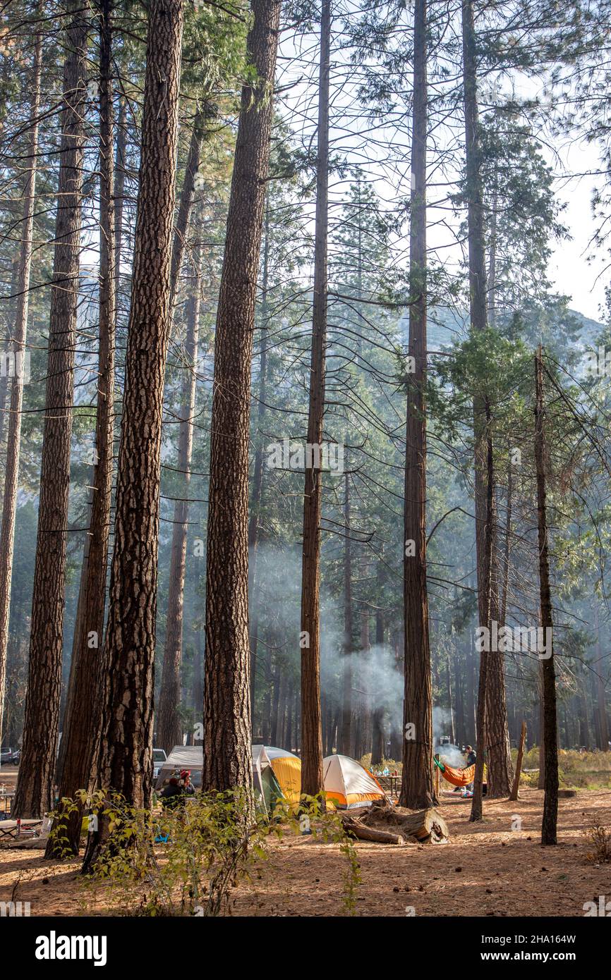 Tents and early morning campfire smoke in Upper Pines Campground from ...